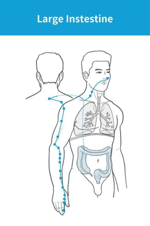 Dikke Darm Meridiaan: Laat Los, Herstel en Vind Balans