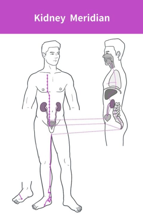 Nier Meridiaan: Verbeter je Energie, Vitaliteit en Welzijn